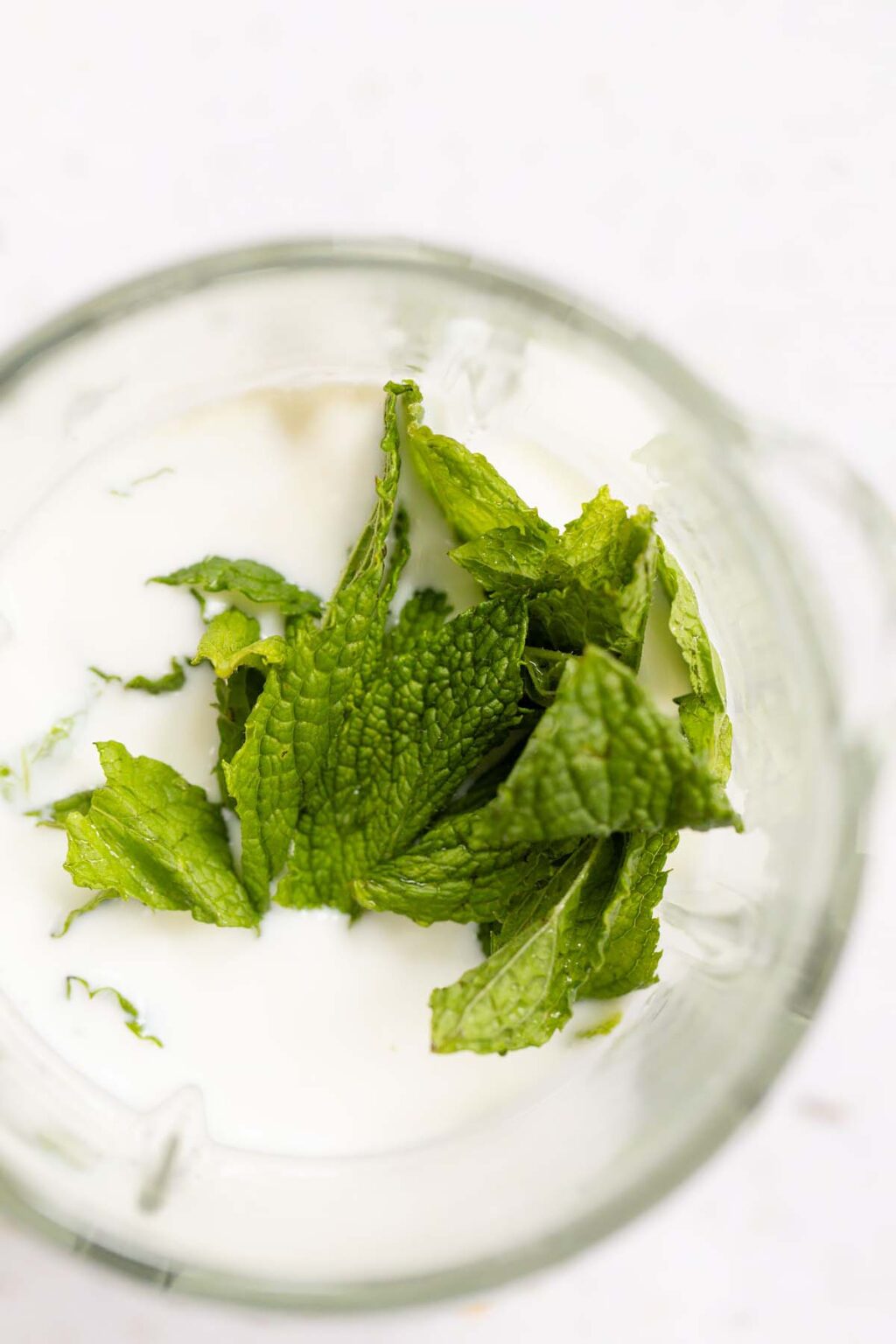 Ninja Creami Mint Chocolate Chip - Food Banjo