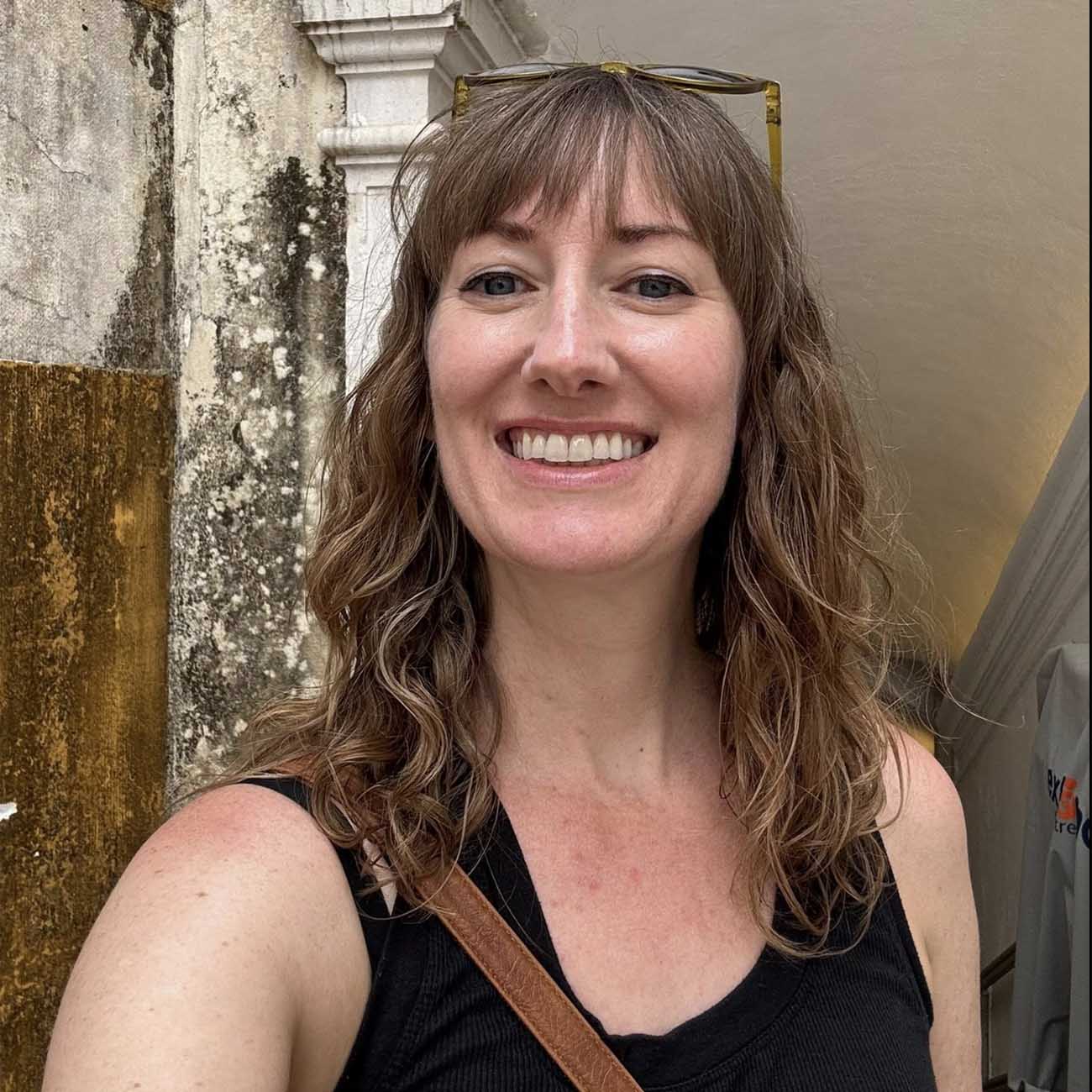 Air Fryer Ham and Cheese - Food Banjo