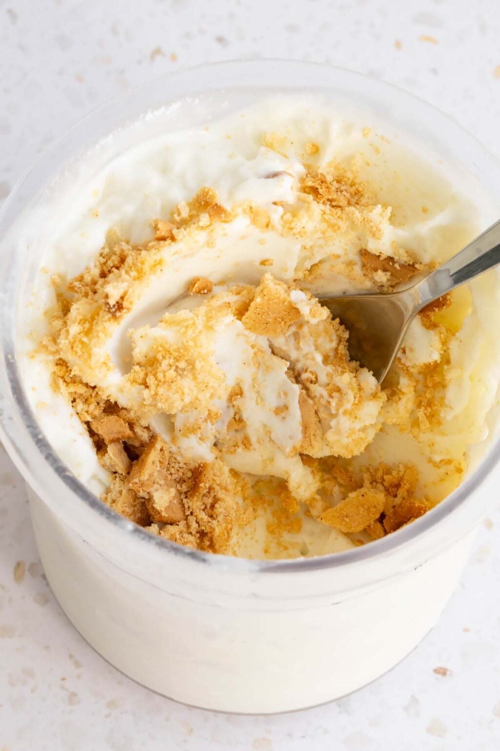 5 Ways to Add Protein to Ninja Creami Recipes - Food Banjo